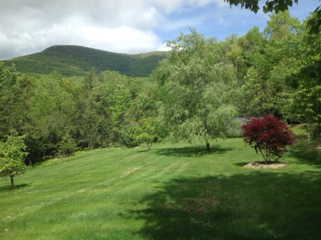 Appreciating Life: A Profile of Bob Berman